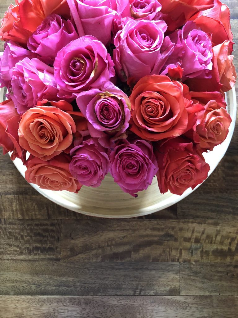 Showit Blog - Page 33 of 369